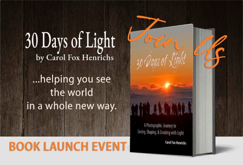 Book Launch & Artist Meet-Up “30 Days of Light” by Dr. Carol Fox ...
